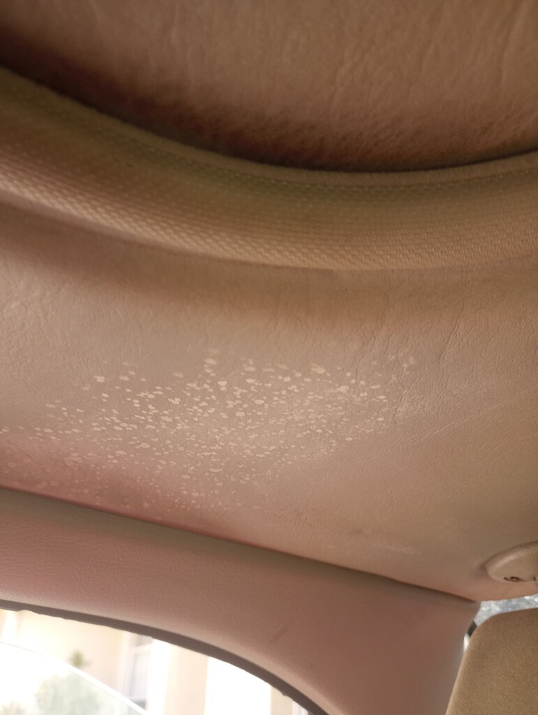 What's happening to my headliner? - Interior - G2IC - Generation 2 ...